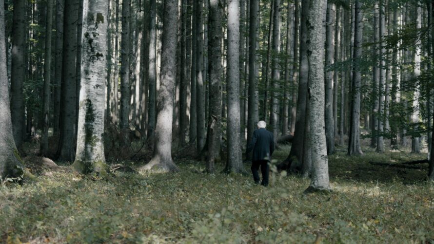 „Pădurea de molizi”, filmul dedicat de Tudor Giurgiu victimelor ...